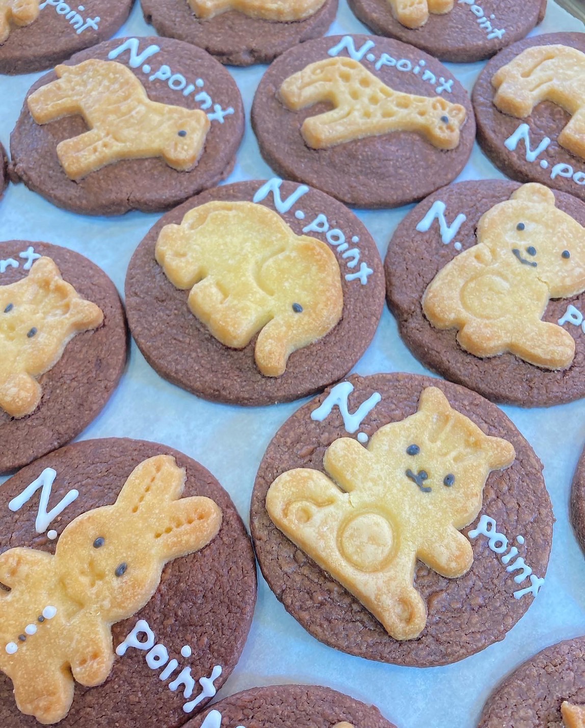 N.point - KTQUEST｜福岡・北九州のおでかけ情報サイト