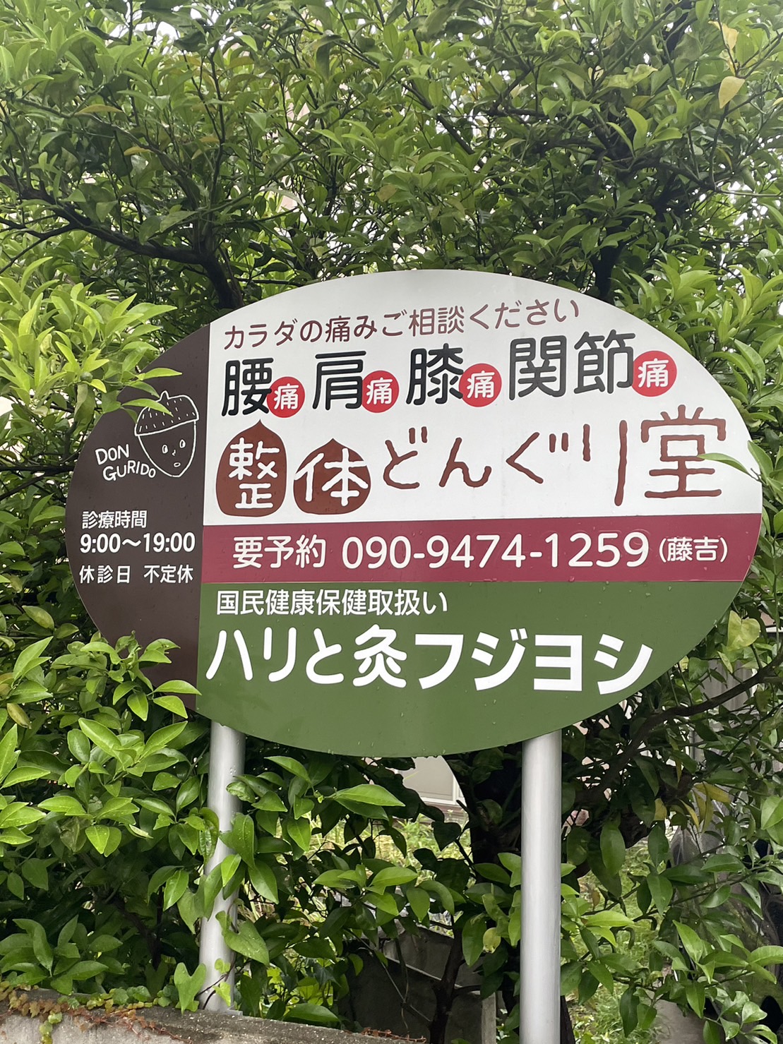 『整体どんぐり堂・ハリと灸フジヨシ』 - KTQUEST｜福岡・北九州のおでかけ情報サイト