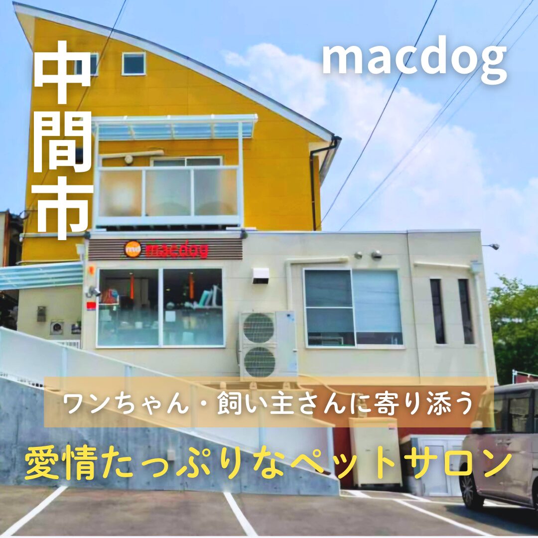 macdog(マクドック) - KTQUEST｜福岡・北九州のおでかけ情報サイト
